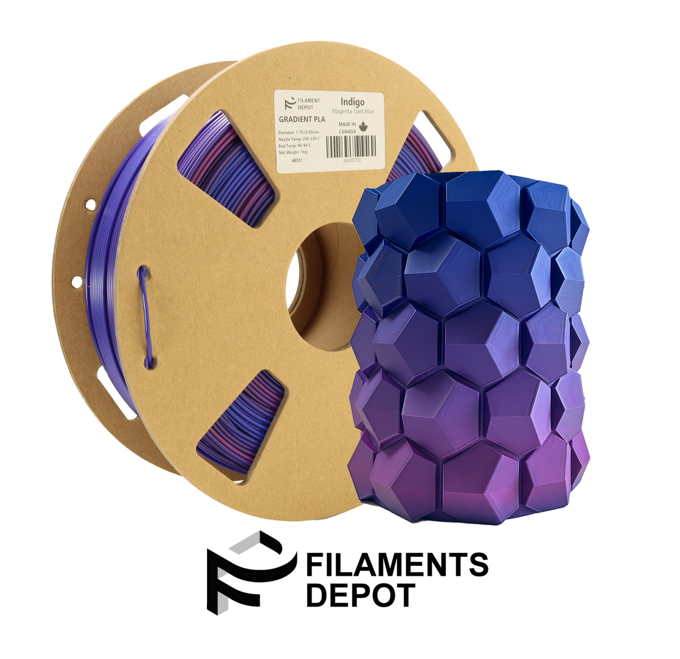 Filaments Depot Gradient PLA - 1.75mm 1kg – Digitmakers.ca